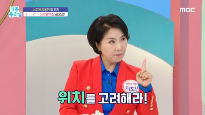 노후에 유용한 집 위치!, MBC 240613 방송 | 네이트 TV