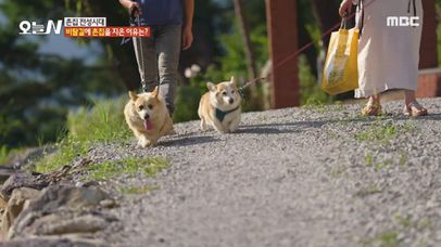 부부가 비탈길에 촌집을 지은 이유는?, MBC 240815 방송 | 네이트 TV