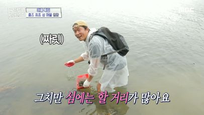 이 섬을 사면 청각이 기본 옵션! 수확의 맛에 빠져버린 김대호😍, MBC 240815 방송 | 네이트 TV