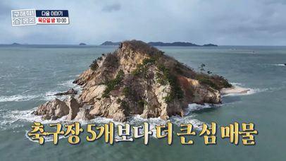 [284회 예고] 축구장 5개보다 더 큰 섬🏝️ 미군 장교가 손수 지은 집부터 국립공원 매물까지?, MBC 250206 방송 | 네이트 TV