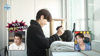 카이의 영원한 파트너 반려묘 테너🐈‍⬛ 아침에는 신문 읽기, MBC 250516 방송 | 네이트 TV