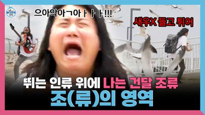 《스페셜》 뛰는 인류 위에 나는 건달 조류💪 조(류)의 영역🐦⬛, MBC 250711 방송 | 네이트 TV