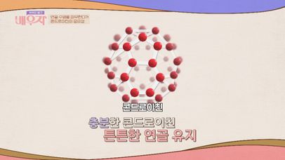 연골 수명을 좌우하는 '콘드로이친'의 중요성- | JTBC 220111 방송 | 네이트 TV