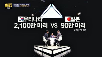 한국vs일본, 현격히 차이나는 조류인플루엔자(AI) 피해 규모의 이유! | 네이트 TV