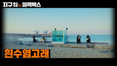 YB-흰수염고래 | KBS 231009 방송 | 네이트 TV