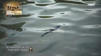 기술과 자연이 어우러져 건강하게 자라는 송어 MBN 221001 방송 | 네이트 TV