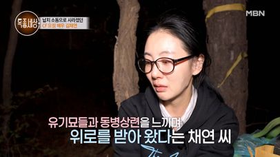 유일하게 위로를 해준 건 다름아닌 길고양이? MBN 230420 방송 | 네이트 TV