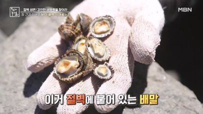 장 건강 지켜줄 바다 절벽 식재료는? MBN 240816 방송 | 네이트 TV