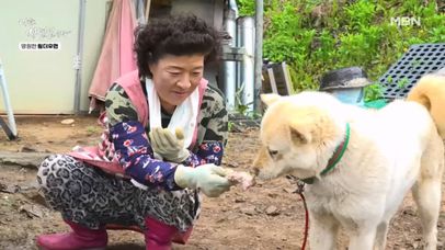 자연인의 든든한 산골 식구들♥ 푸짐하게 밥 챙겨주기!! MBN 240522 방송 | 네이트 TV