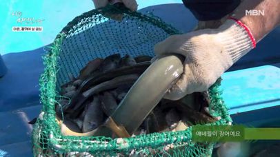 힘 좋은 장어가 통발에?! 만선으로 등장한 오늘의 자연인!! MBN 241023 방송 | 네이트 TV