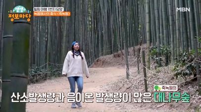 녹음에서의 휴식!! 죽녹원?! MBN 230502 방송 | 네이트 TV