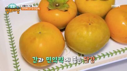 면역력 가득 높이는 다양한 방법! MBN 241120 방송 | 네이트 TV