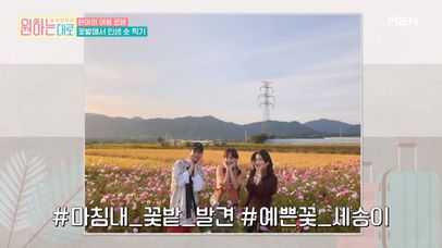 고은아의 여행 로망 소원 성취? 추억은 사진으로 남기는 거지! MBN 221027 방송 | 네이트 TV