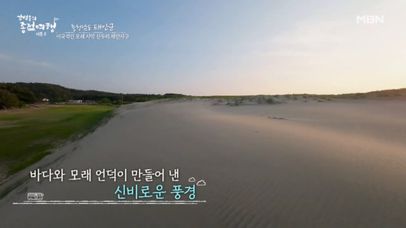 이국적인 모래사막 신두리 해안사구 ♡ MBN 230610 방송 | 네이트 TV