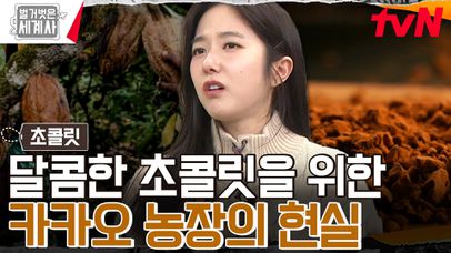 ＂초콜릿은 내 살과 같아요＂ 현대판 노예제도가 있는 카카오 농장... | tvN 240312 방송 | 네이트 TV
