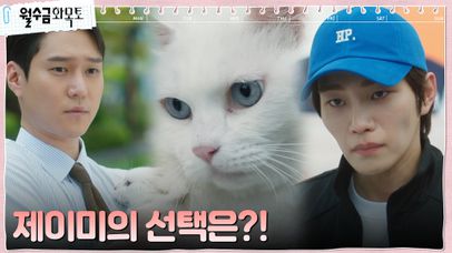 도도한 고양이 제이미, 주인 김재영 대신 고경표 품에 쏙? | tvN 220922 방송 | 네이트 TV