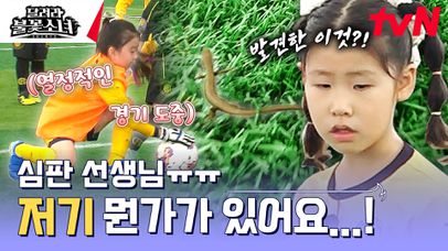 [#과몰입주의] 도마뱀(?!)도 구경 나온 불꽃소녀축구단 경기ㅋㅋㅋ | tvN 241214 방송 | 네이트 TV