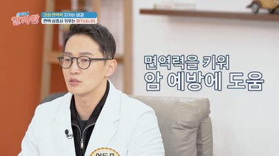 면역력을 높이는「에키네시아」암 예방도 가능하다니🤩 | JTBC 250320 방송 | 네이트 TV