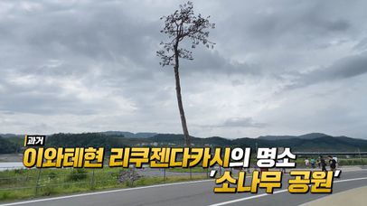 동일본 대지진 속 쓰나미로부터 살아남은 소나무 한 그루 | JTBC 220921 방송 | 네이트 TV
