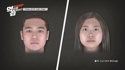 친근한 느낌♡ DNA를 통해 복원한 고대 가야인의 얼굴 | JTBC 221120 방송 | 네이트 TV