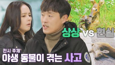 사람들에게 경각심을 주기 위해 전시한 [야생 동물의 상상 vs 현실]🖼 | JTBC 230221 방송 | 네이트 TV
