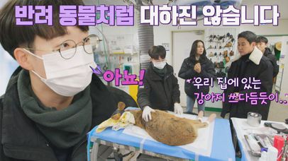 ((야생 동물 ≢ 반려동물)) 사랑하는 만큼 객관적이어야 하는 '수의사' | JTBC 230221 방송 | 네이트 TV