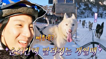 ↖가슴까지 뻥 뚫리는 질주↗ 호주 겨울 이색 체험 '개썰매' | JTBC 220829 방송 | 네이트 TV
