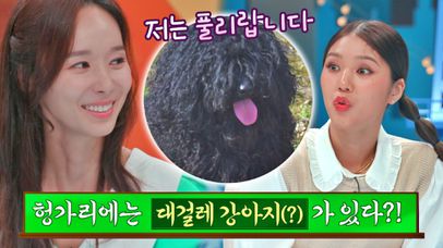 대걸레 아님ㅠ_ㅠ 실을 꼰 느낌의 털로 뒤덮인 강아지 '풀리' ️ | JTBC 221003 방송 | 네이트 TV