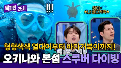 바다거북이도 볼 수 있어요🐢 게라마 제도에서 즐기는 수상 액티비티🌊 | JTBC 250331 방송 | 네이트 TV