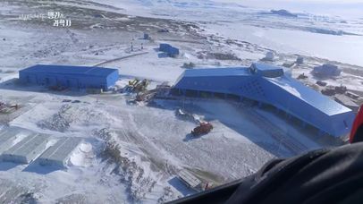 혹독한 남극에서 펭귄을 관찰하는 과학자들 | KBS 201015 방송 | 네이트 TV