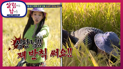 방송도 잊고 농사에 집중하는 은혜! 벼베기 파이널 매치 이번 매치의 승자는?! | KBS 201107 방송 | 네이트 TV