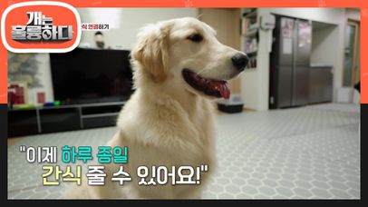 훈련과 간식 연결하기! 보호자 만족도는 100% | KBS 220110 방송 | 네이트 TV