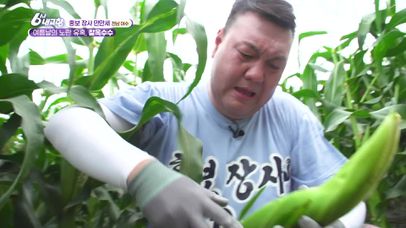 [홍보장사 만만세] 여름날의 노란 유혹, 찰옥수수 | KBS 220628 방송 | 네이트 TV