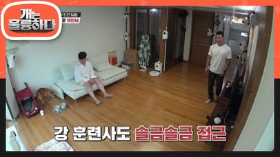 조심스러운 딩동이와 강 훈련사의 첫 만남 다시 한번 소파 밑에 들어가는데... | KBS 220829 방송 | 네이트 TV