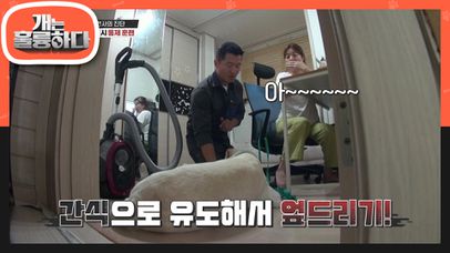 그나마 얌전하게 받아들이는 삼월이의 이유? 바로 충분한 산책 때문! | KBS 220926 방송 | 네이트 TV