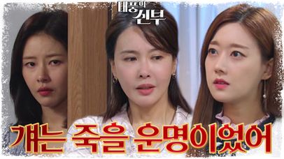 “넌 아무것도 몰라” 오승아&최수린의 대화를 엿듣게 된 박하나! | KBS 221031 방송 | 네이트 TV