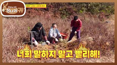 구단주 잔소리에 넋다운👻 하승진 전태풍 홍보대사🏀 | KBS 221204 방송 | 네이트 TV