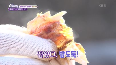 [홍보 장사 만만세] 굴비 만나 영광입니다 | KBS 230124 방송 | 네이트 TV