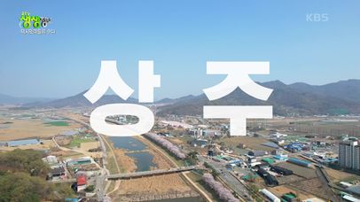 택시맛객들의 수다 : 경상북도 상주시 | KBS 230406 방송 | 네이트 TV