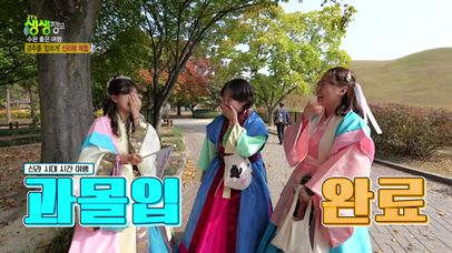 수완 좋은 여행 : 가을 향기 가득한 경주 여행 | KBS 231102 방송 | 네이트 TV