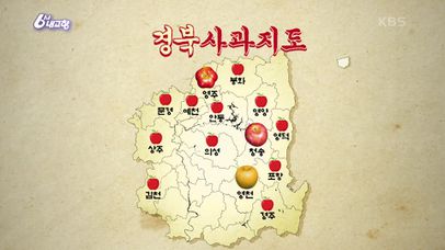 경북 사과 지도 | KBS 231107 방송 | 네이트 TV