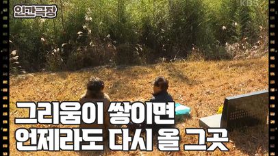 [수니와 칠공주] (12/15) [인간극장/Screening Humanity] | KBS 231228 방송 | 네이트 TV