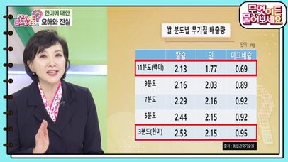 [백년습관] 현미에 대한 오해와 진실! 현미에는 독성이 있다? | KBS 240619 방송 | 네이트 TV