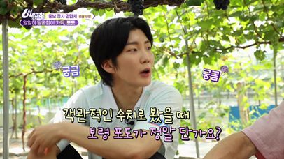 [홍보 장사 만만세] 알알이 달콤함이 가득, 포도 | KBS 240716 방송 | 네이트 TV