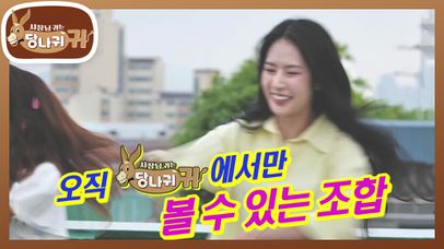 복고댄스 아세요? 그때 그 예능 〈댄스 신고식〉비하인드🤣 | KBS 240908 방송 | 네이트 TV