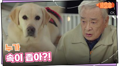 ＂누가 속이 좁아?!＂ 쉽게 마음을 풀지 않는 이순재 | KBS 241003 방송 | 네이트 TV