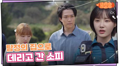 연우를 강아지 탐정의 집으로 데리고 간 소피 “ 사기 및 동물 보호 법 위반으로... ” | KBS 241010 방송 | 네이트 TV