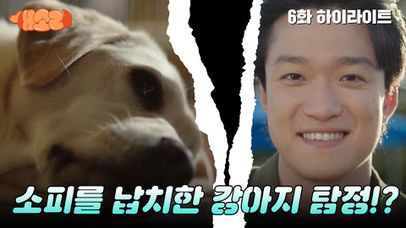[6화 하이라이트] “ 사례금이 100만원!? ” 소피를 납치한 강아지 탐정!? | KBS 241010 방송 | 네이트 TV