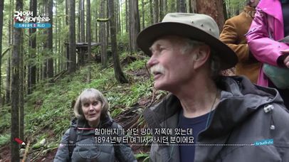 시간의 흐름이 쌓여 완성된 숲 ＂조용하지만 풍요로운 곳＂ | KBS 250214 방송 | 네이트 TV
