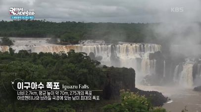 아르헨티나와 브라질 국경에 있는 남미 최대의 폭포, 이구아수 폭포 | KBS 250806 방송 | 네이트 TV